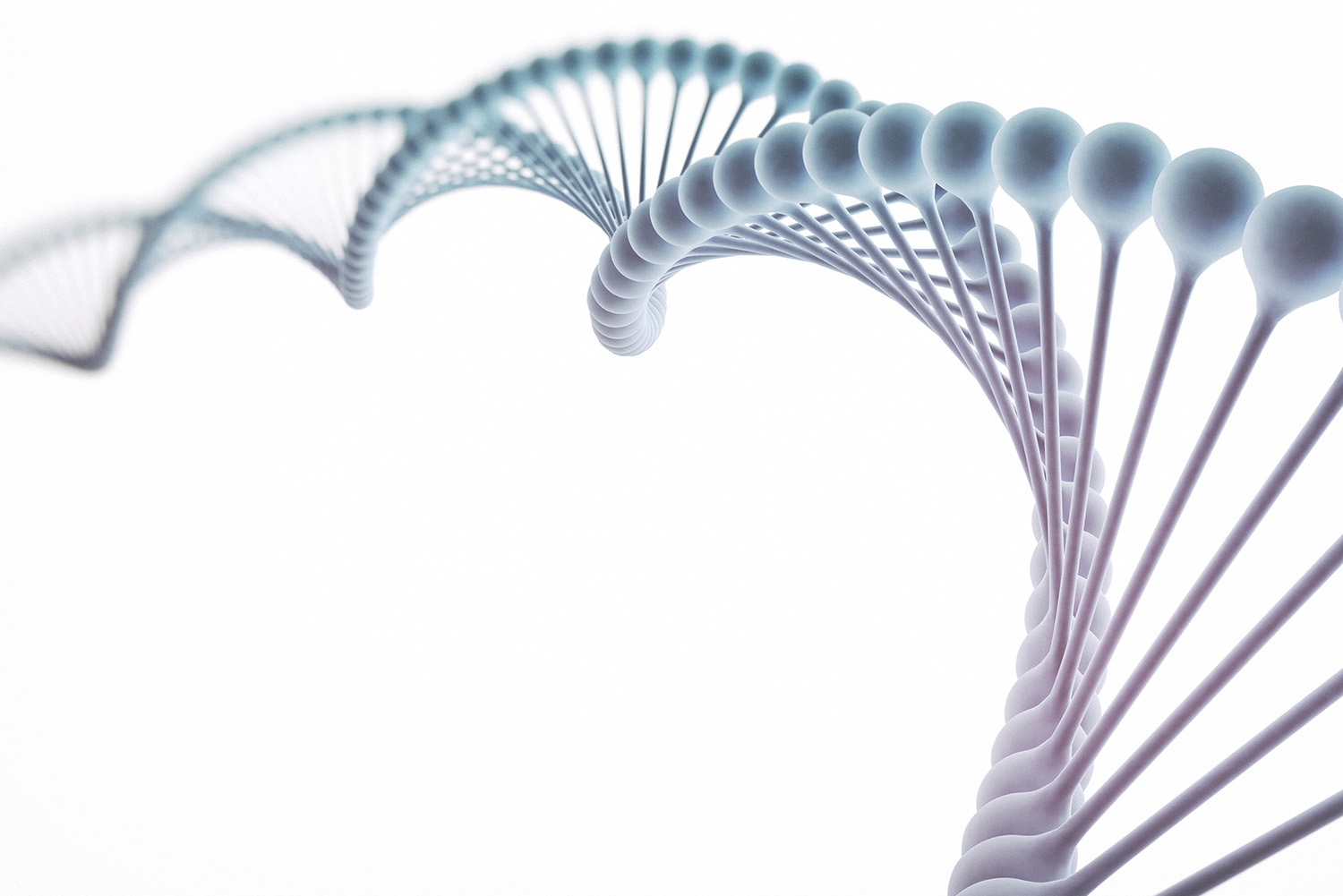 Recipharm | CDMO | Pharmaceutical Development & Manufacturing