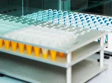 Semi Solid Formulation Development & Manufacturing | Recipharm